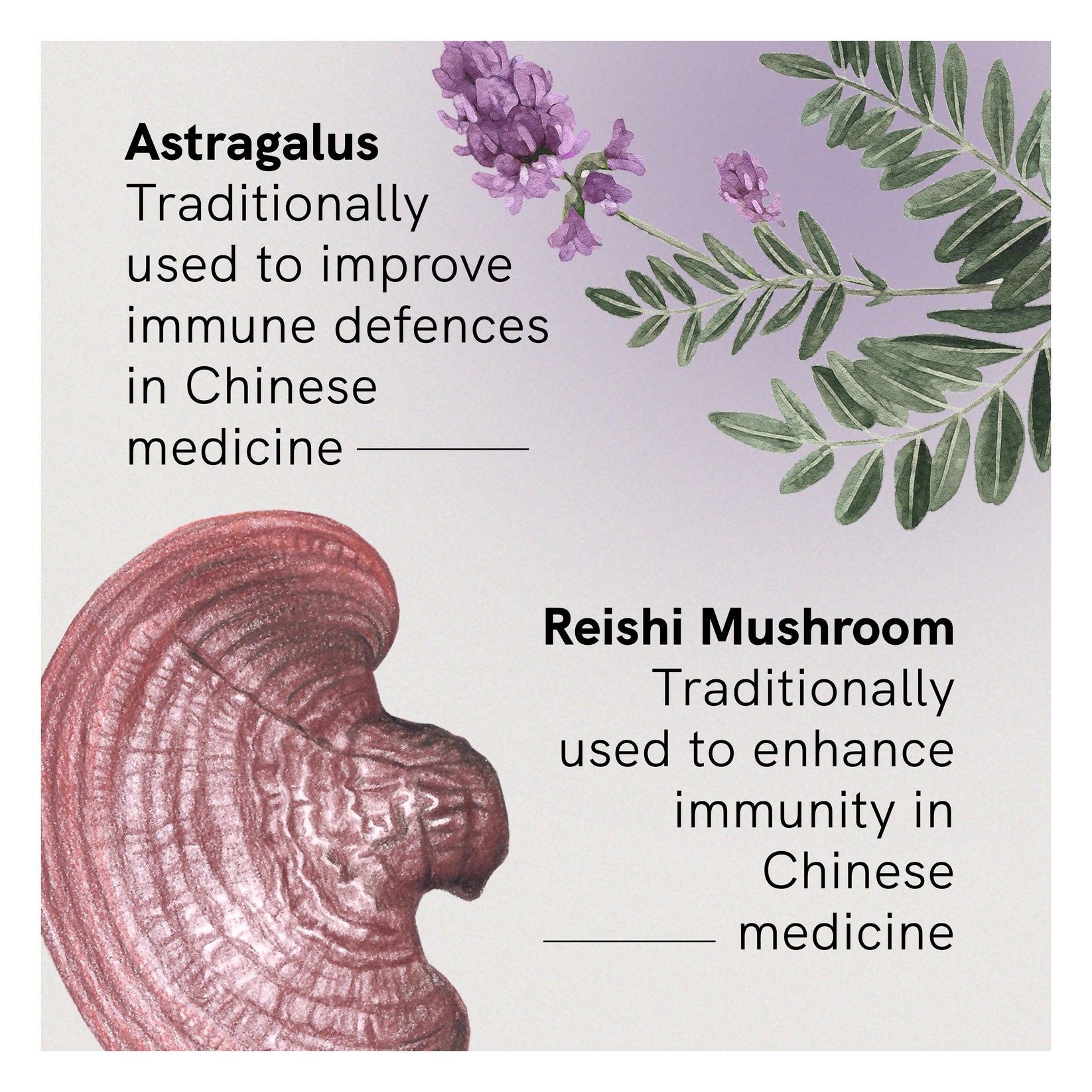 Astra 8 Immune Tonic – Fusion Health AU